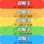What Are Heart Rate Training Zones For Runners?